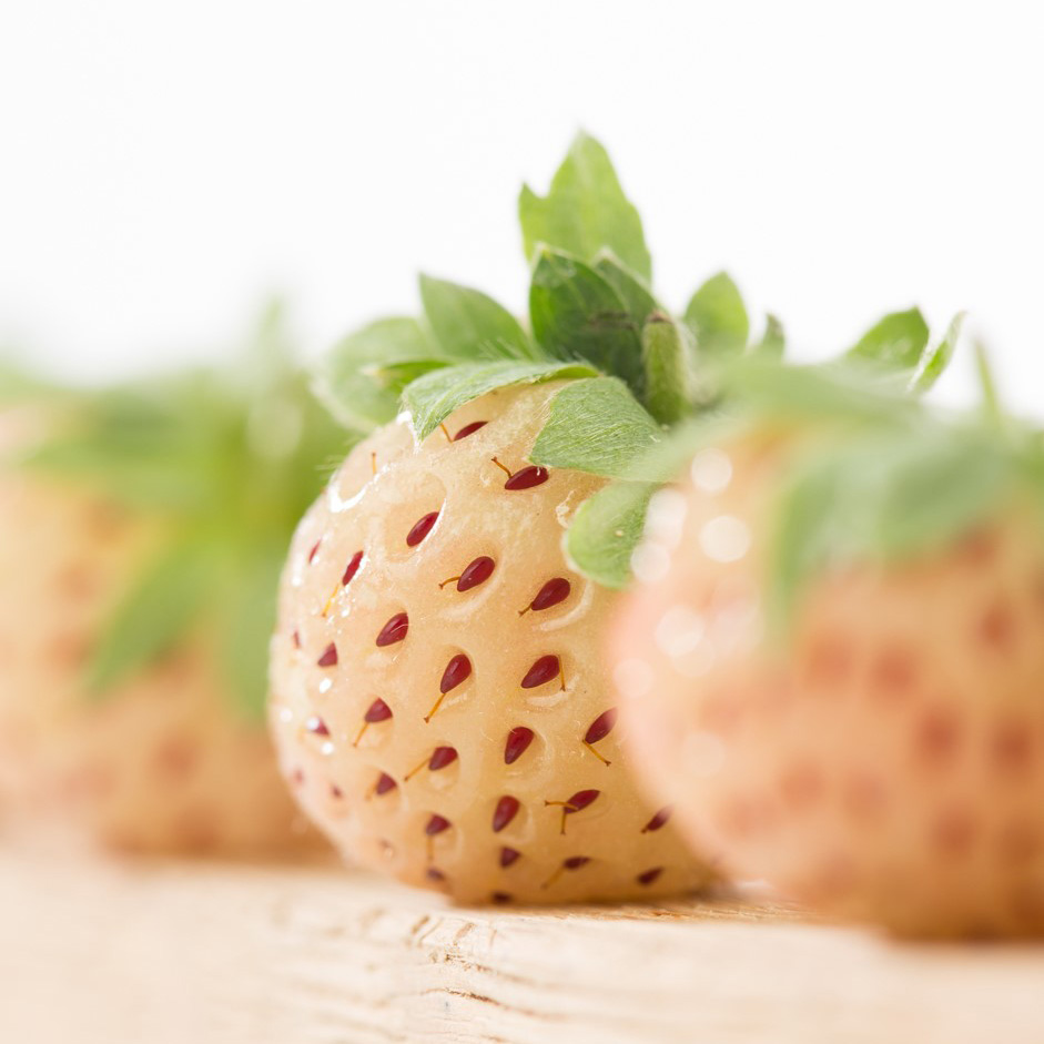 Fraisier 'Pineberry', Fraise blanche-Ananas - Vente en ligne au ...