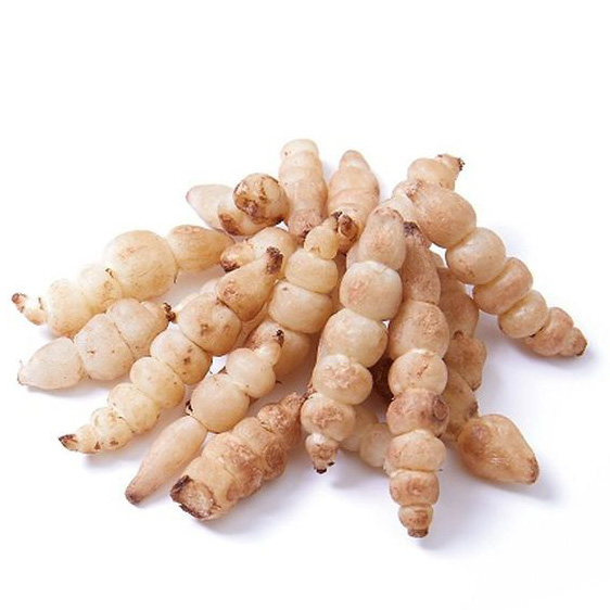 Crosne du Japon - Vente en ligne au meilleur prix