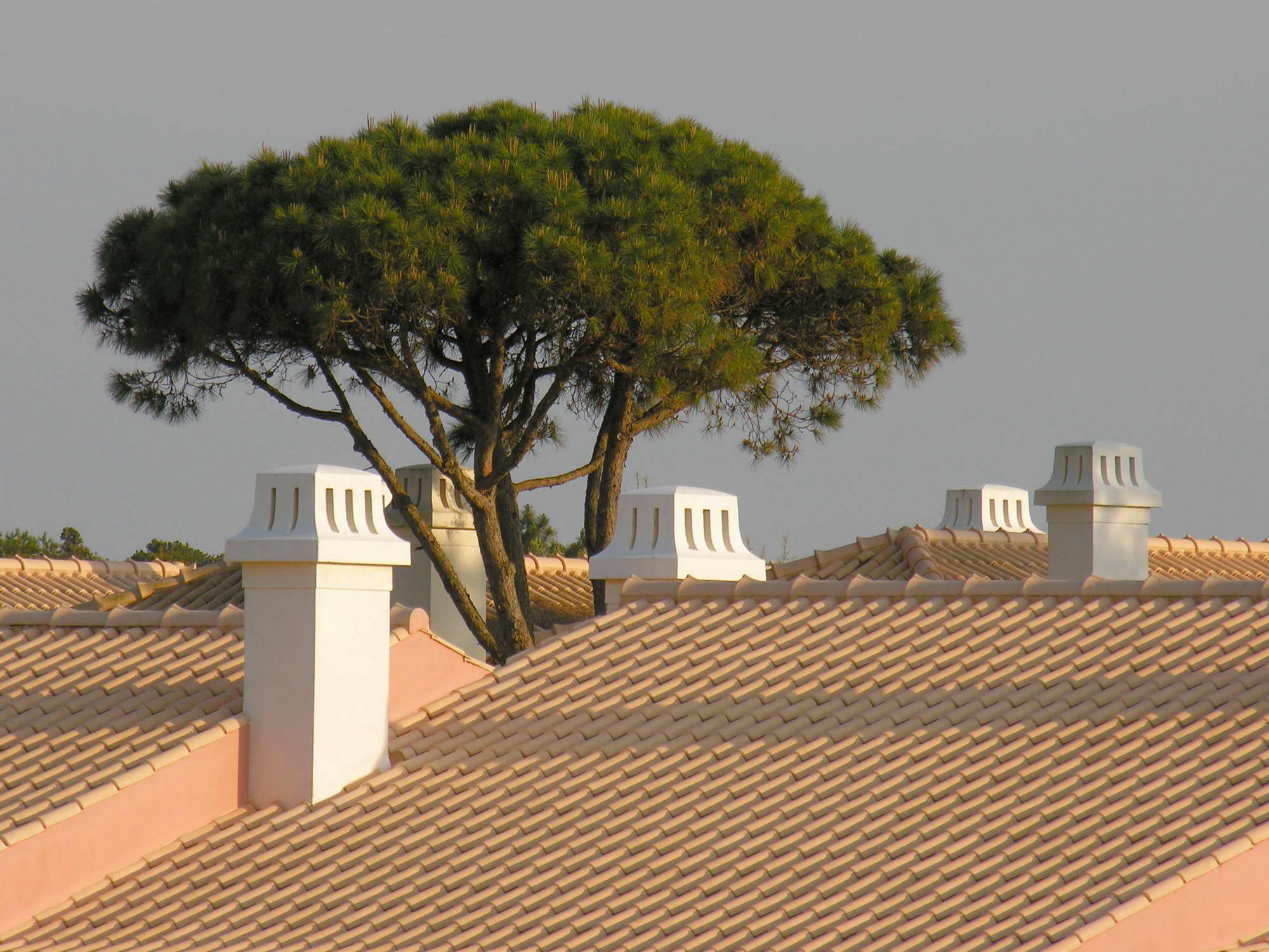 Pin parasol - Vente en ligne au meilleur prix