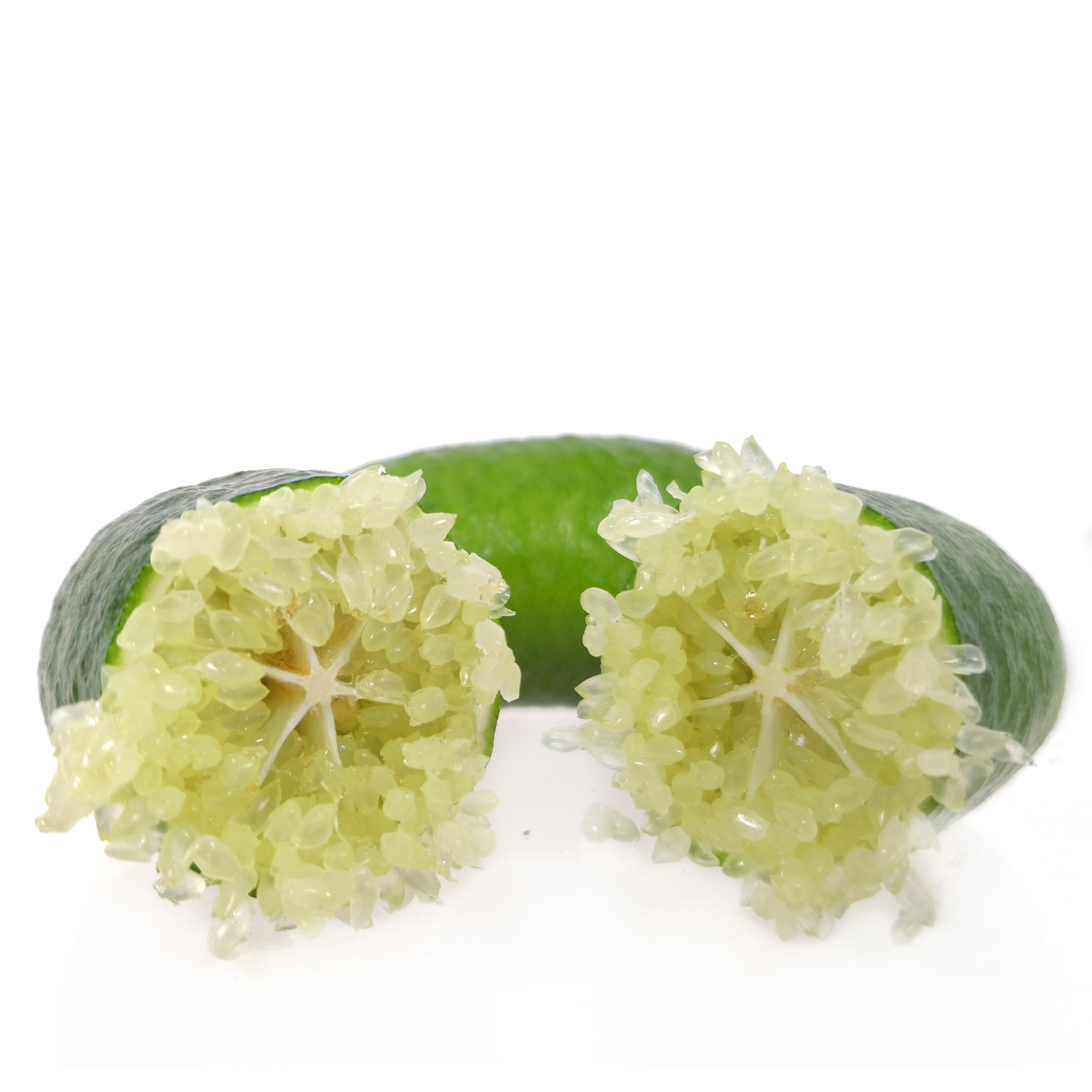 Citron caviar, Citronnier caviar - Vente en ligne au meilleur prix