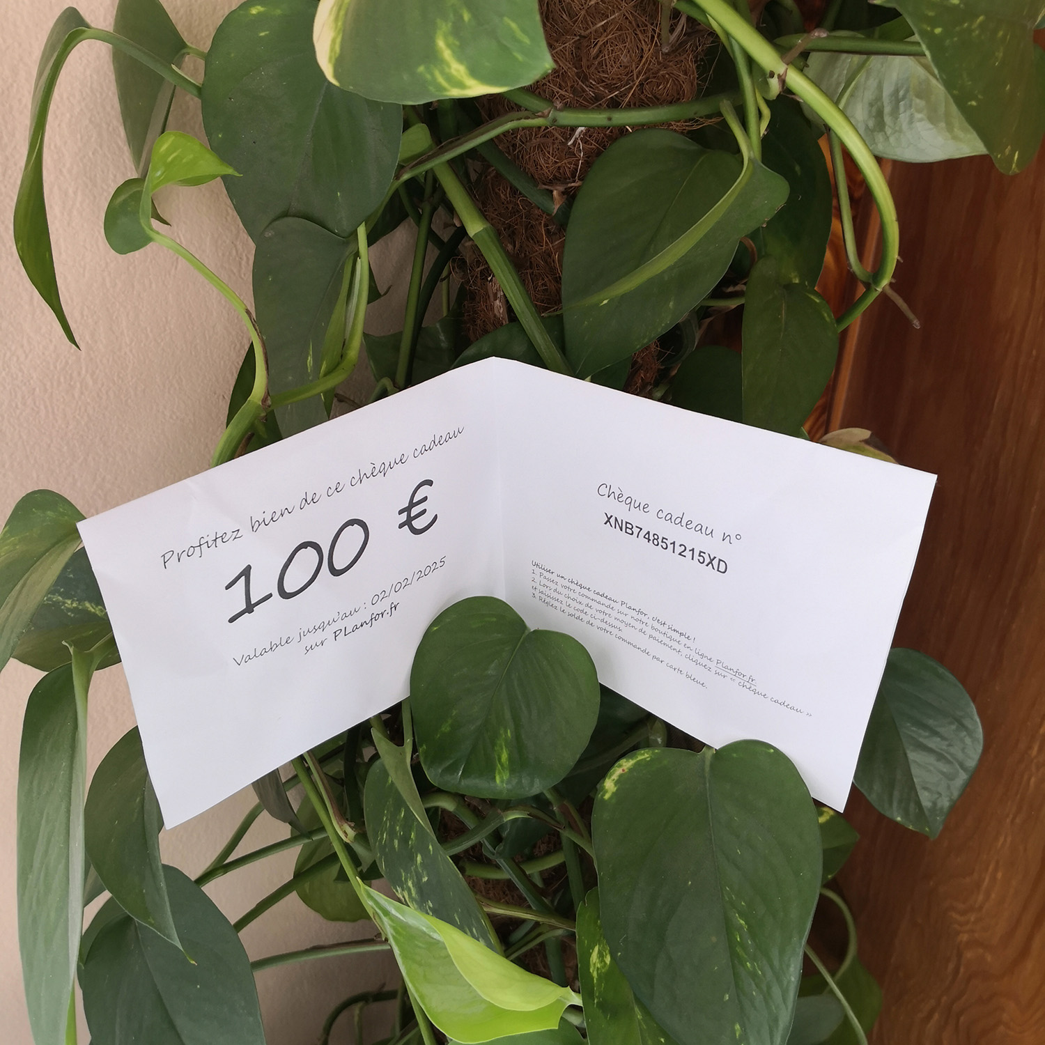 Chèque Cadeau Anniversaire - Vente en ligne au meilleur prix
