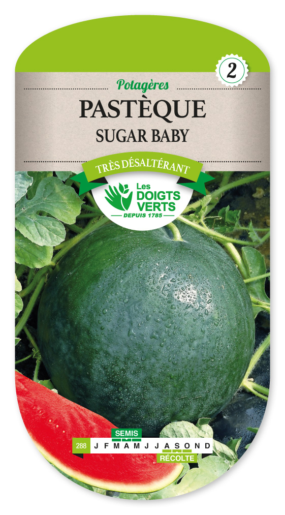 Pastèque Sugar Baby - Vente en ligne au meilleur prix