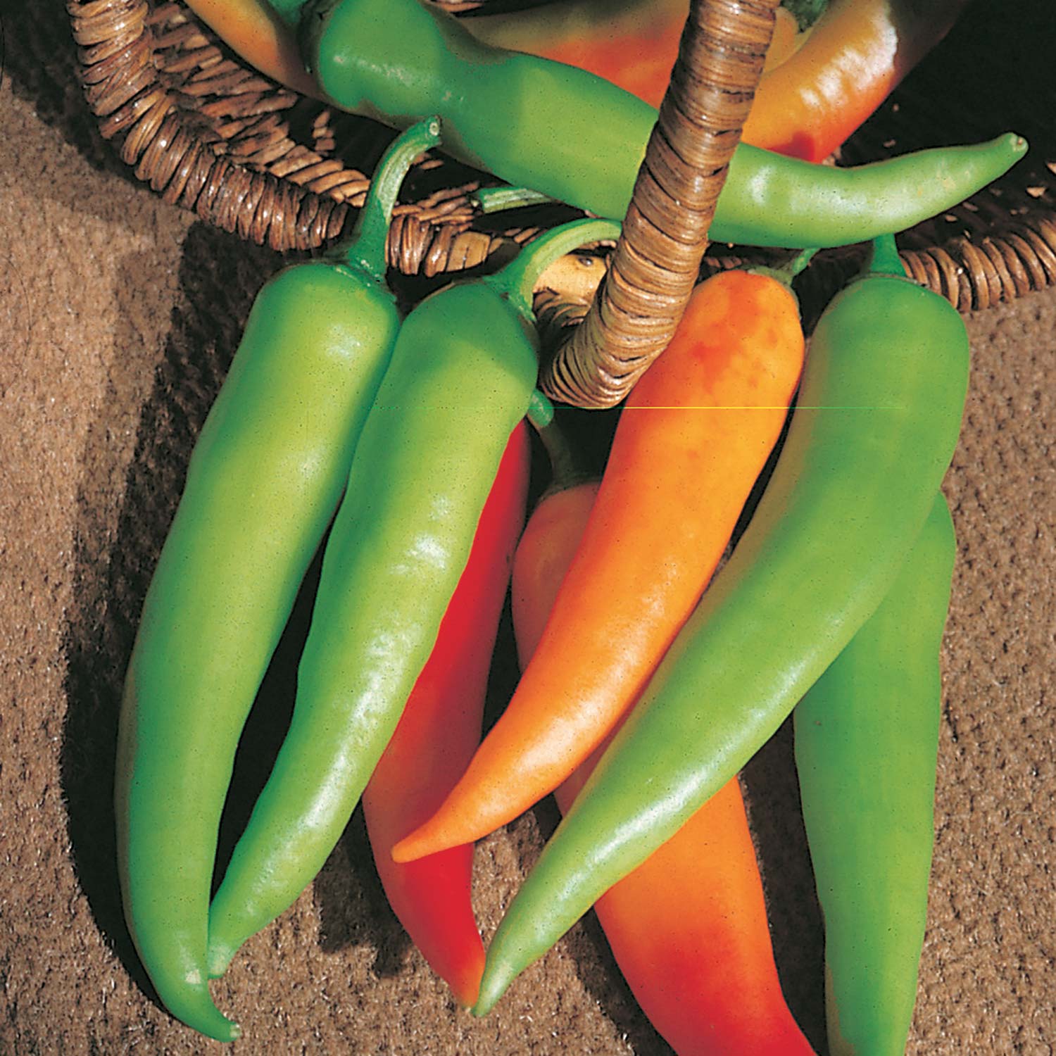 Poivron doux très long des Landes - Vente en ligne au meilleur prix