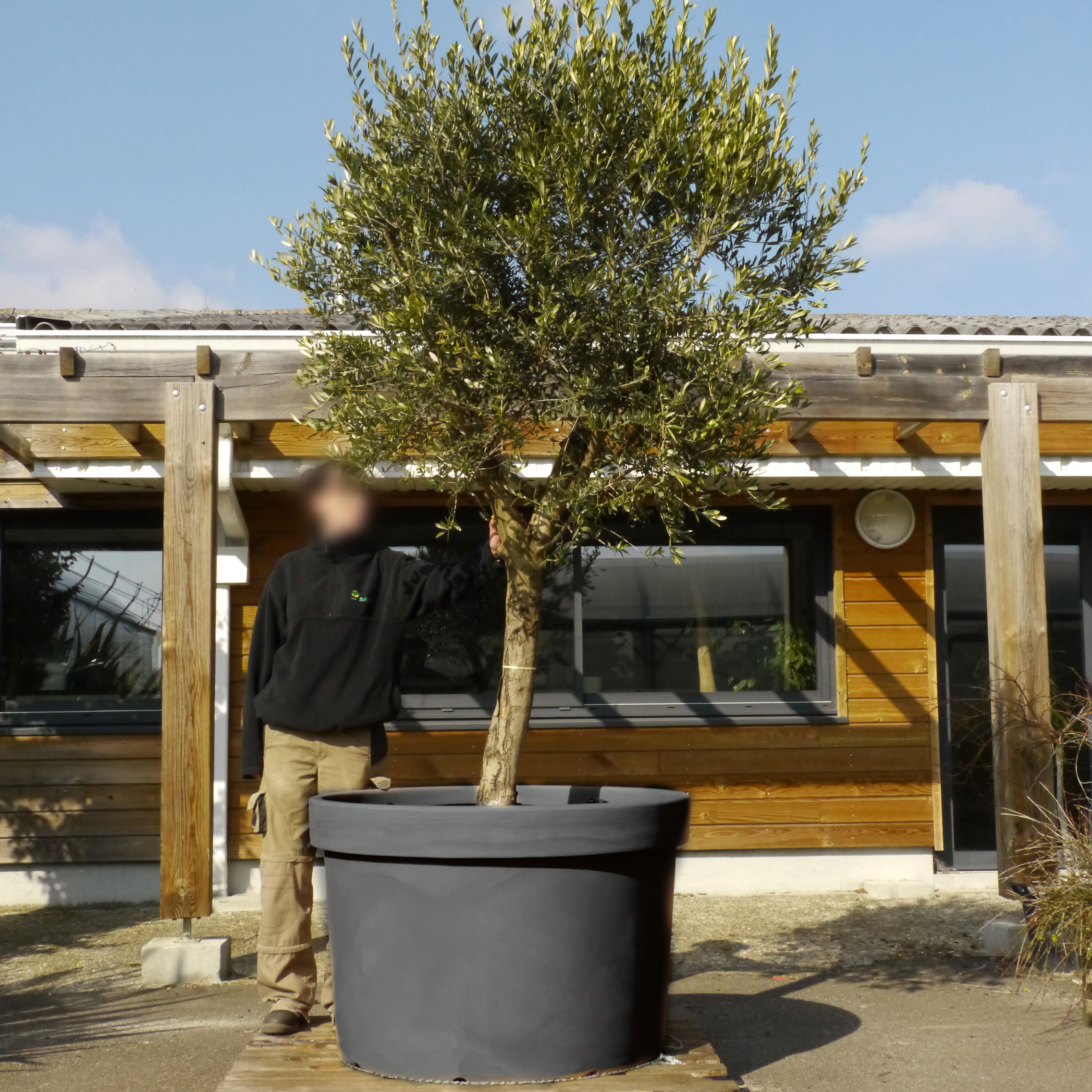 Pot géant pour Arbre-D.105 x H.70 cm - Anthracite - Vente en ligne au ...