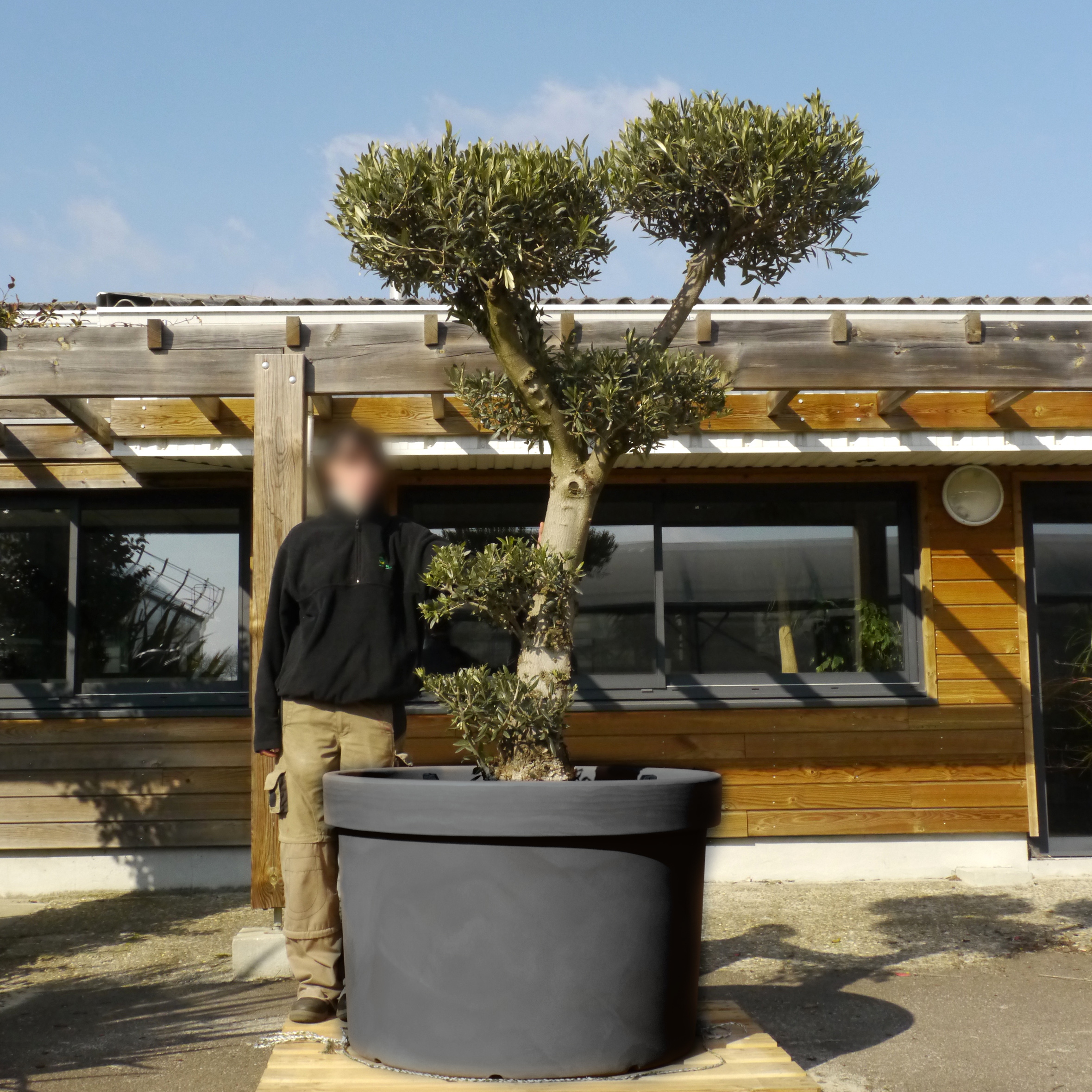 Pot géant pour Arbre-D.105 x H.70 cm - Anthracite - Vente en ligne au ...