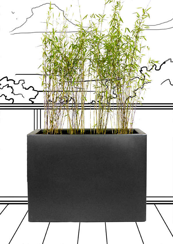 Pure Square Divider – 29x79 H59 – Anthracite– Elho - Vente en ligne au ...