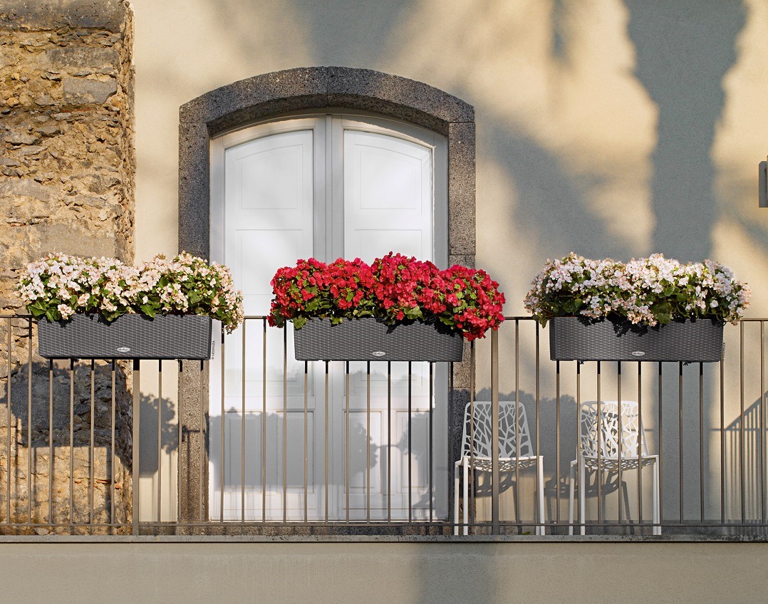 Balconera Cottage 80 - Granit - LECHUZA - Vente en ligne au meilleur prix