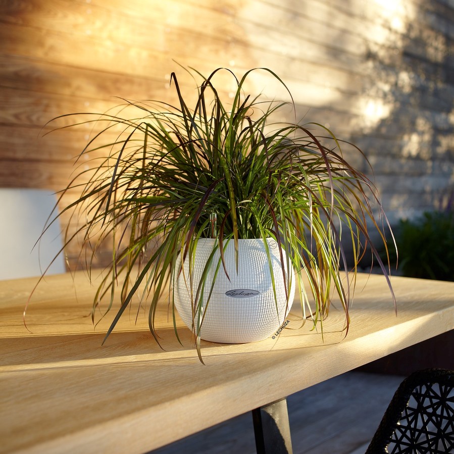 Puro Color - D.20 cm - Blanc - LECHUZA - Vente en ligne au meilleur prix