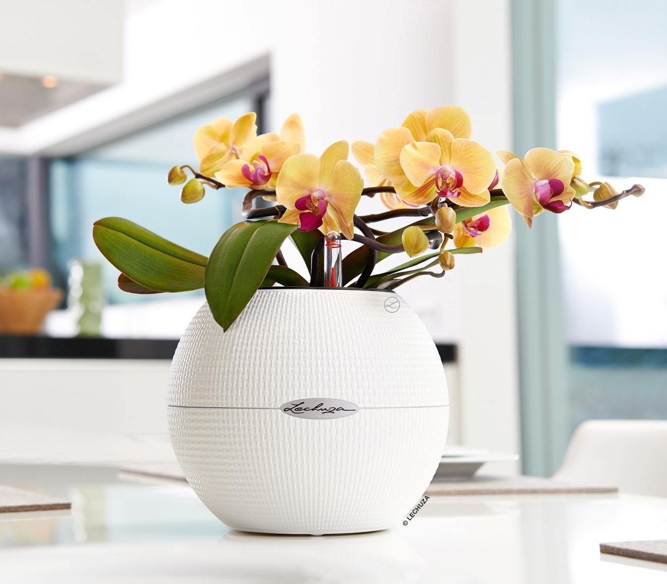 Puro Color - D.20 cm - Blanc - LECHUZA - Vente en ligne au meilleur prix