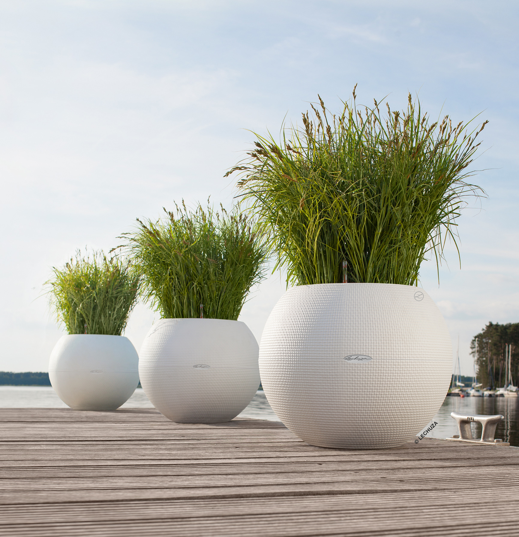 Puro Color 50 - Blanc - LECHUZA - Vente en ligne au meilleur prix